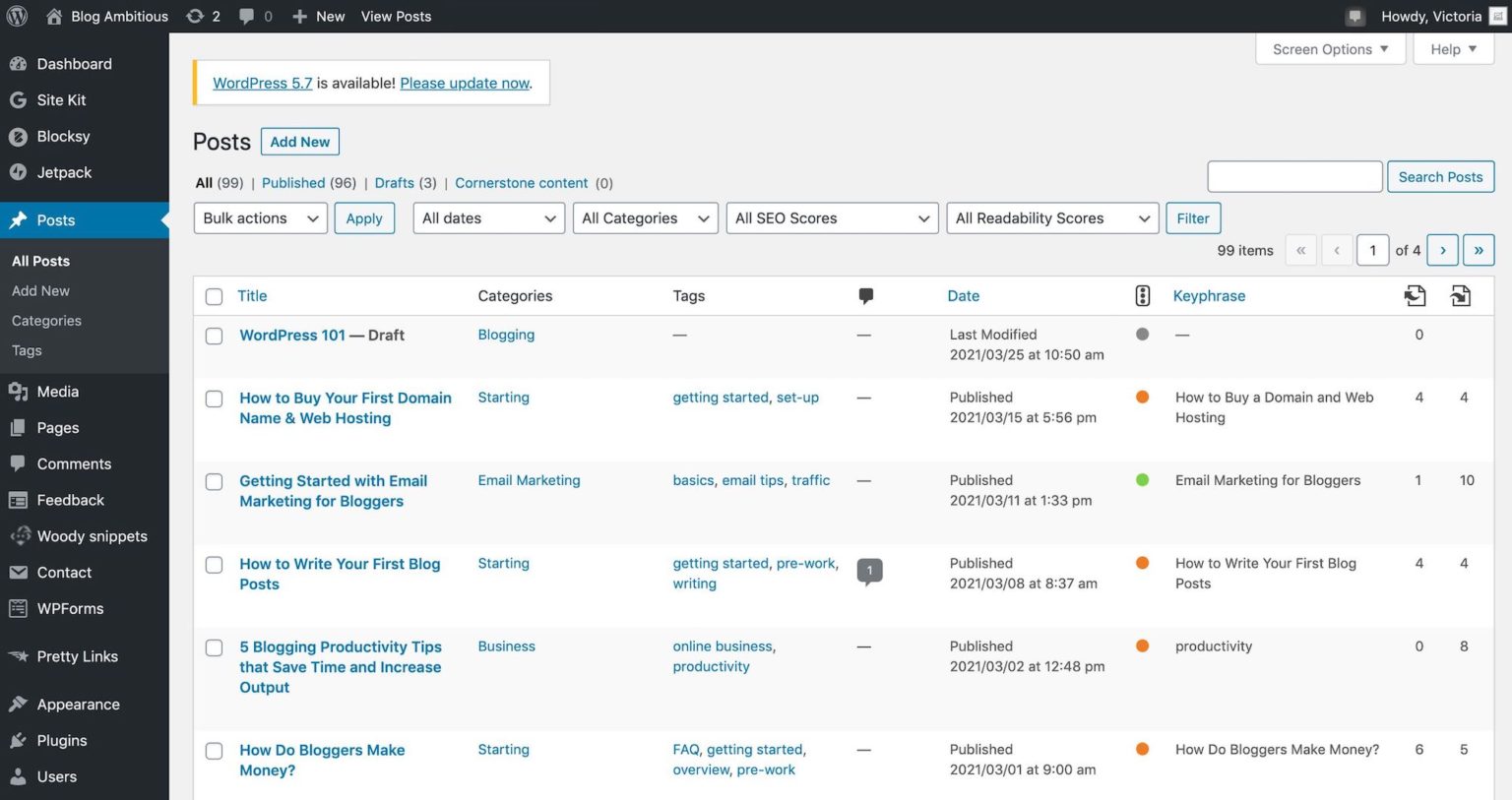 WordPress 101 for Beginner Bloggers